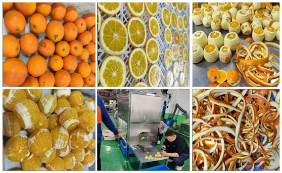 Orange Peeler Machine | Full-automatic Orange Peeler