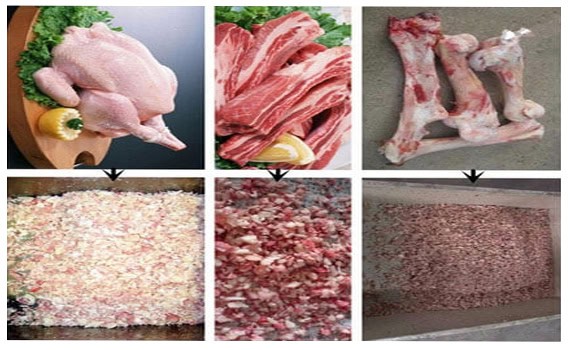 Bone Crusher Machine | Efficient Bone Powder Machine