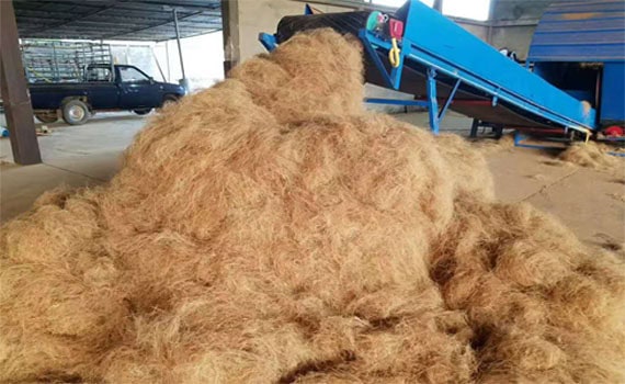 Coconut Coir Machine / Coconut Fiber Extraction Machine